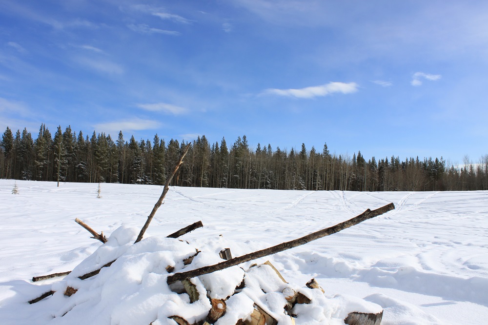 Safe burning practices are always in season | Alberta Wildfire