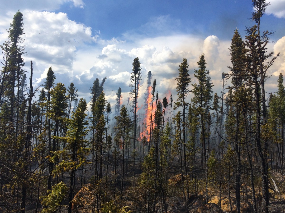 Riding the Highs and Lows on the Lookout Tower | Alberta Wildfire